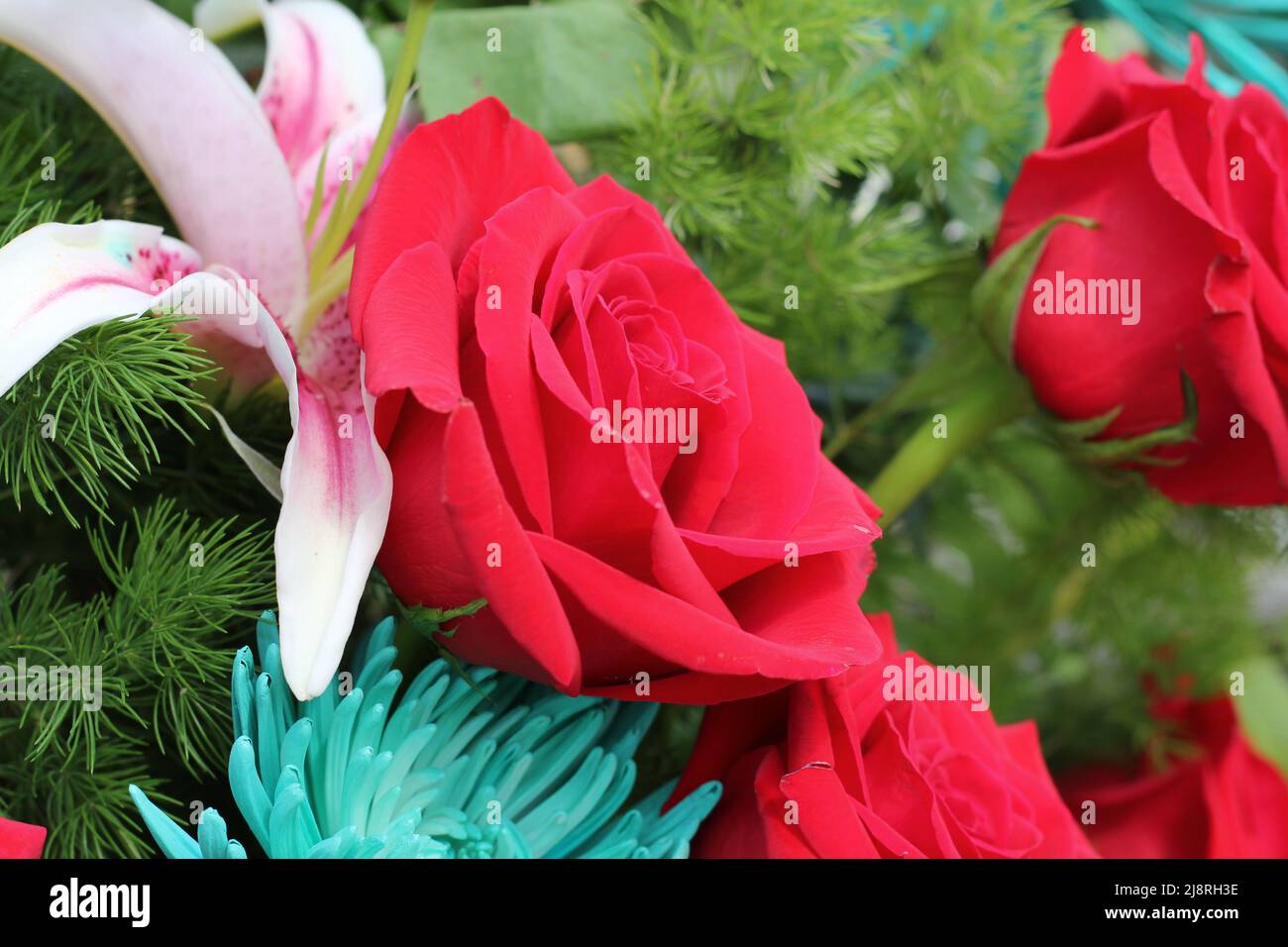 Beautiful gorgeous bouquet of fresh bright red roses and flowers in ...