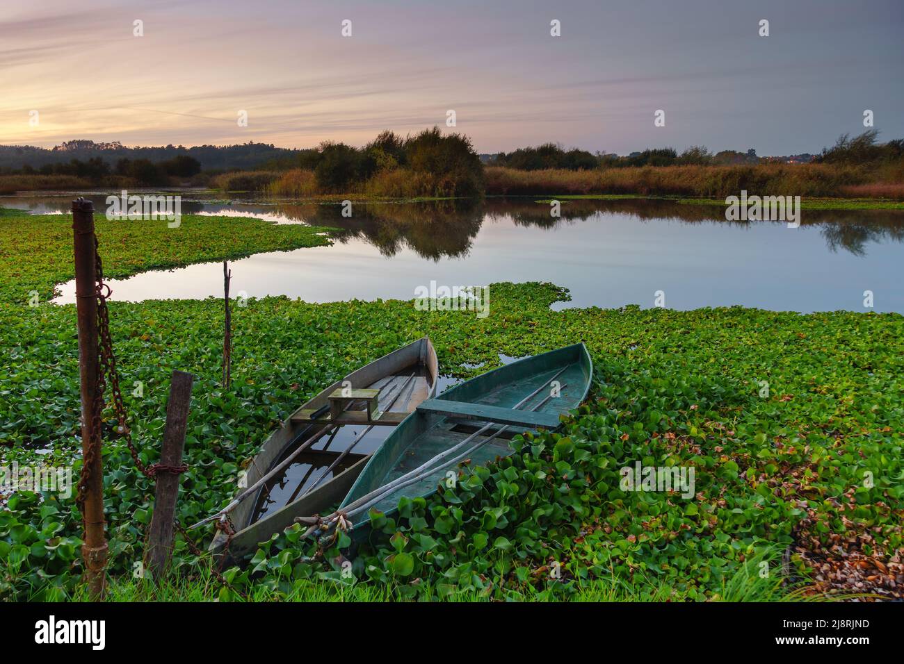 Natural landscape with boats in the water at sunset. Amazing lake with ...