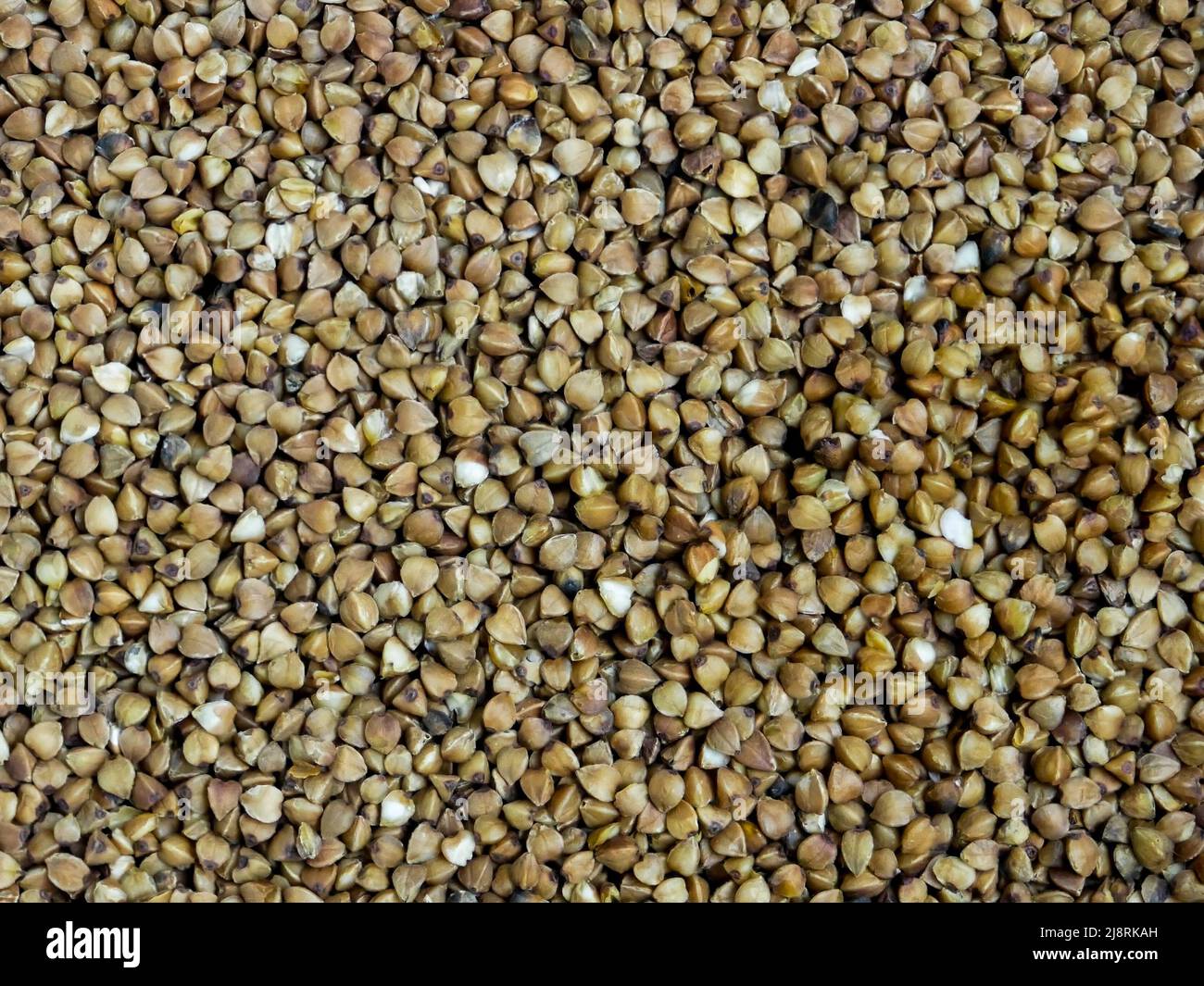 Food buckwheat groats. Buckwheat grain background texture Stock Photo ...