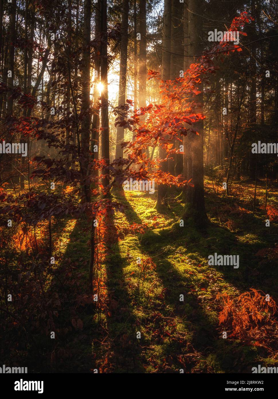 Autumn equinox sunrise hi-res stock photography and images - Alamy