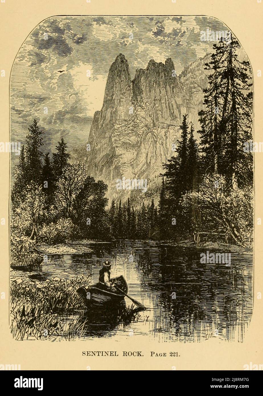 Spent cone hi-res stock photography and images - Alamy