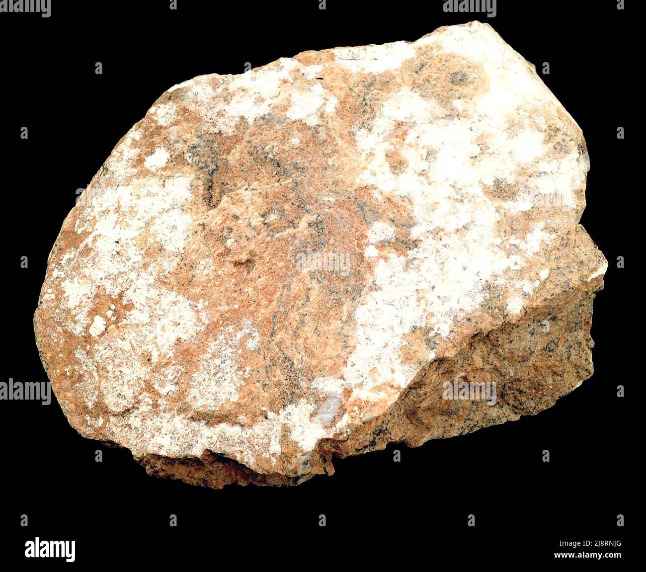 Cuspidine hi-res stock photography and images - Alamy