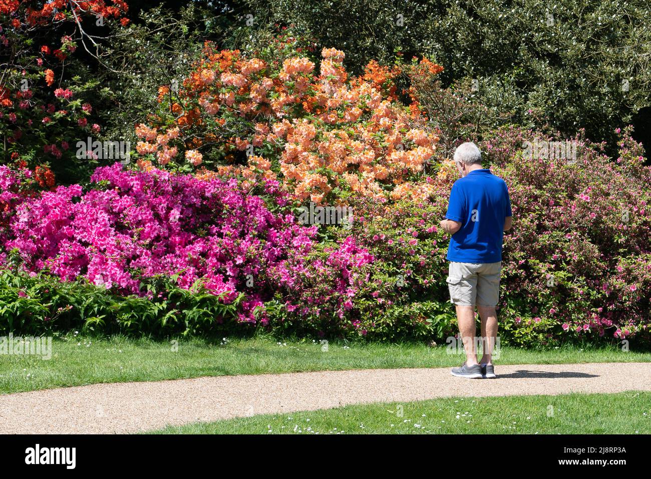 Englefield Green, Egham, Surrey, UK. 17th May, 2022. A beautiful warm ...