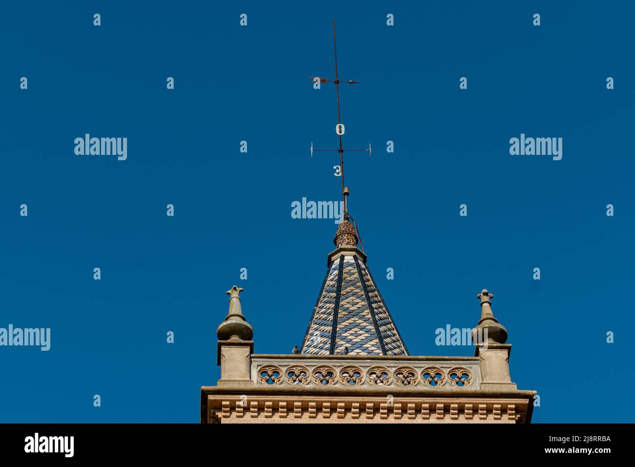 Moviment birds hi-res stock photography and images - Alamy