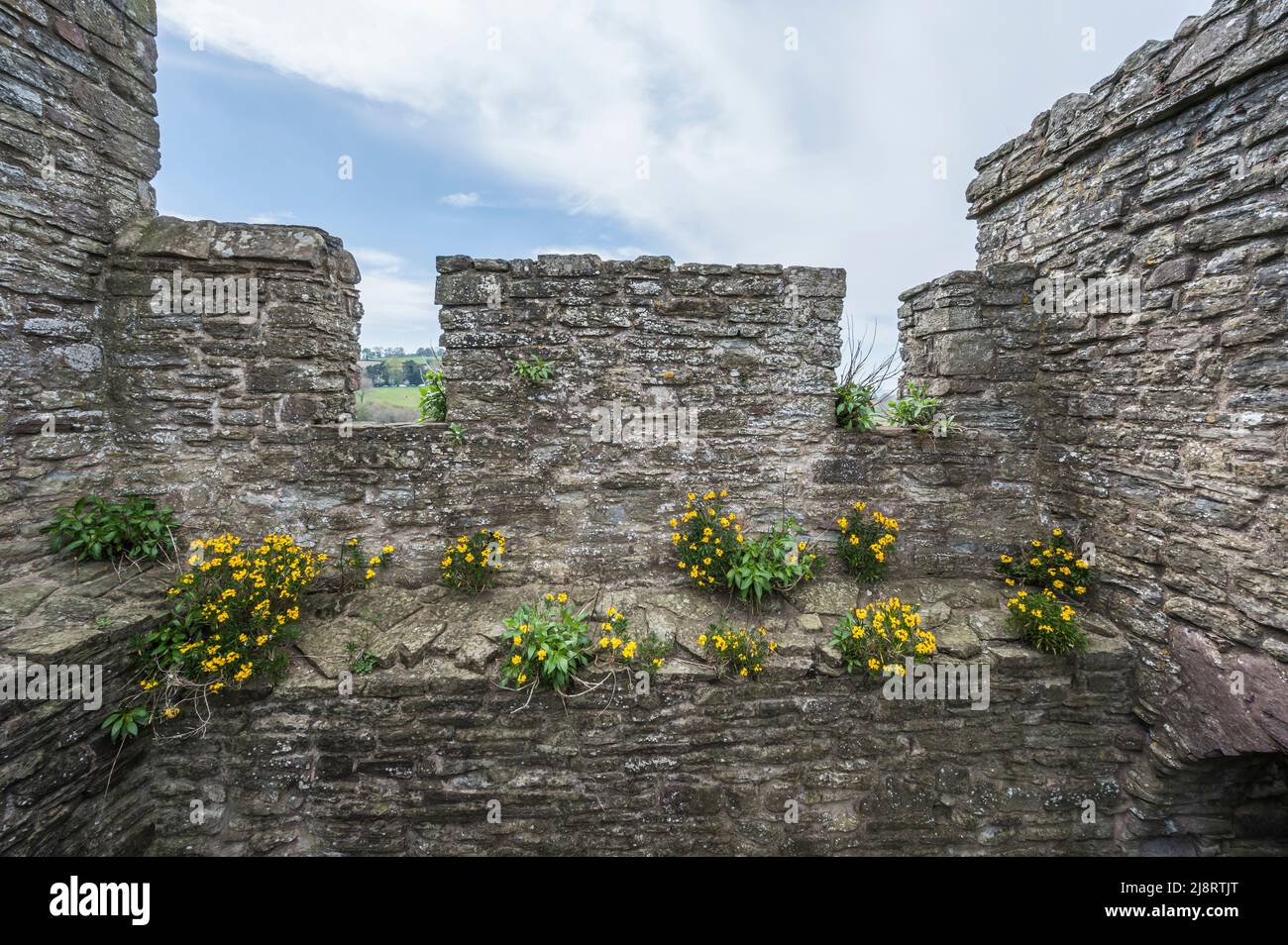 This colourful image is of the 10th century ruined medieval fortress of ...