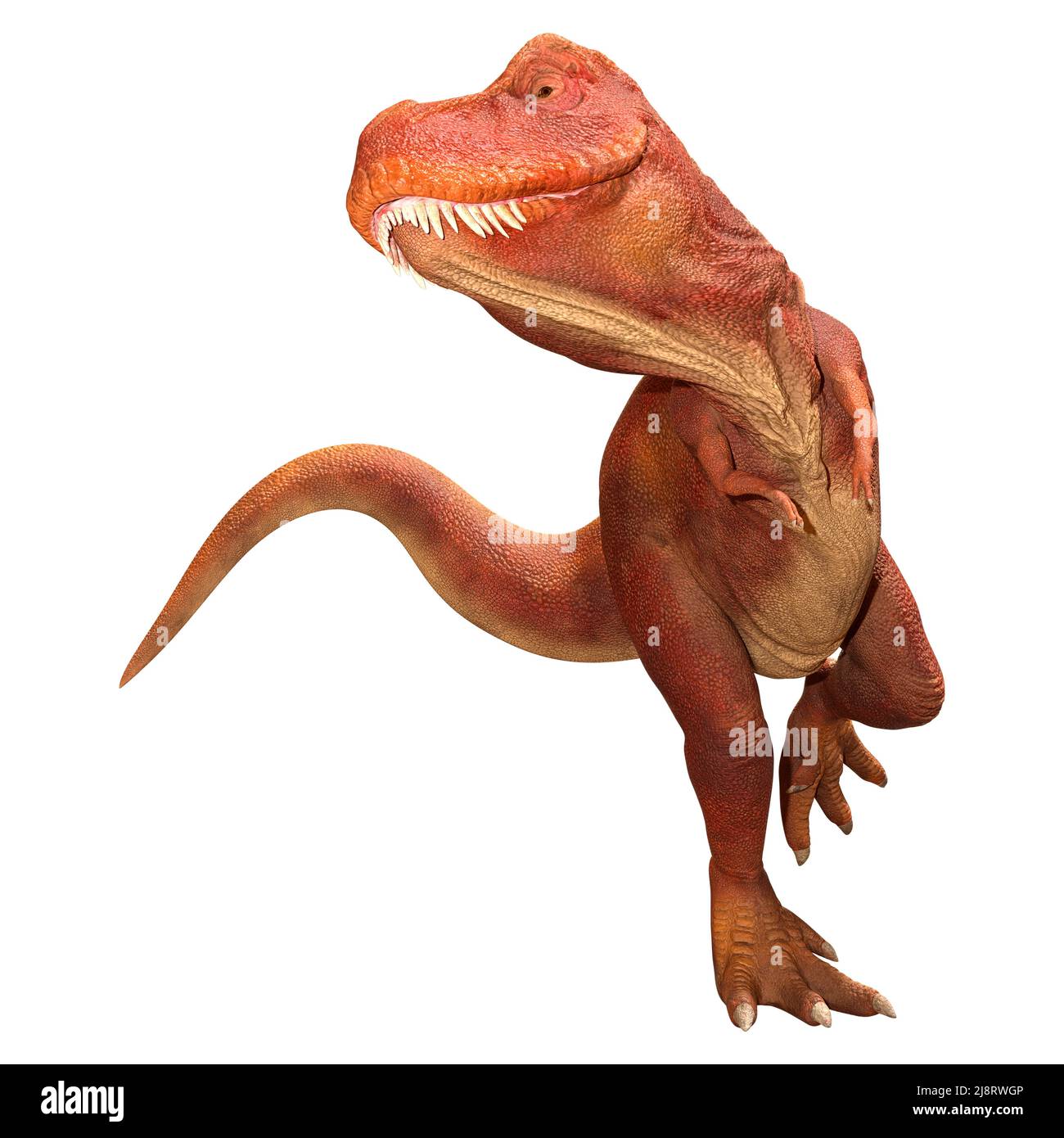 3D rendering of a dinosaur Tyrannosaurus Rex isolated on white ...
