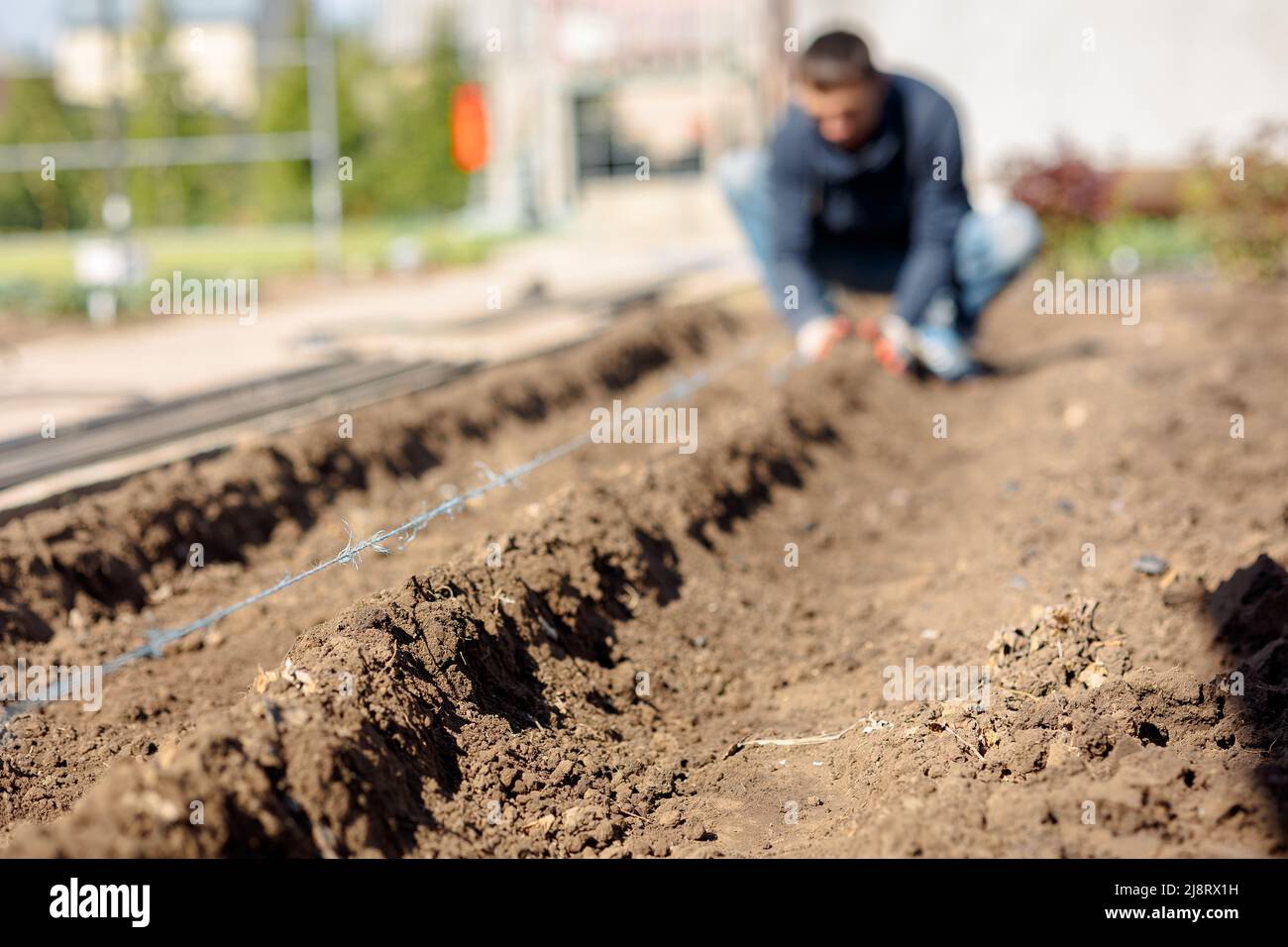 Man digs ground for planting crops. Hands of man who cultivated beds ...