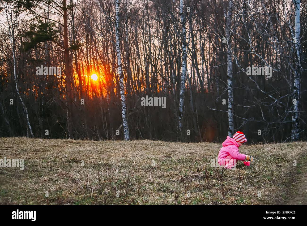 Little girl walks in the woods in early spring Stock Photo - Alamy
