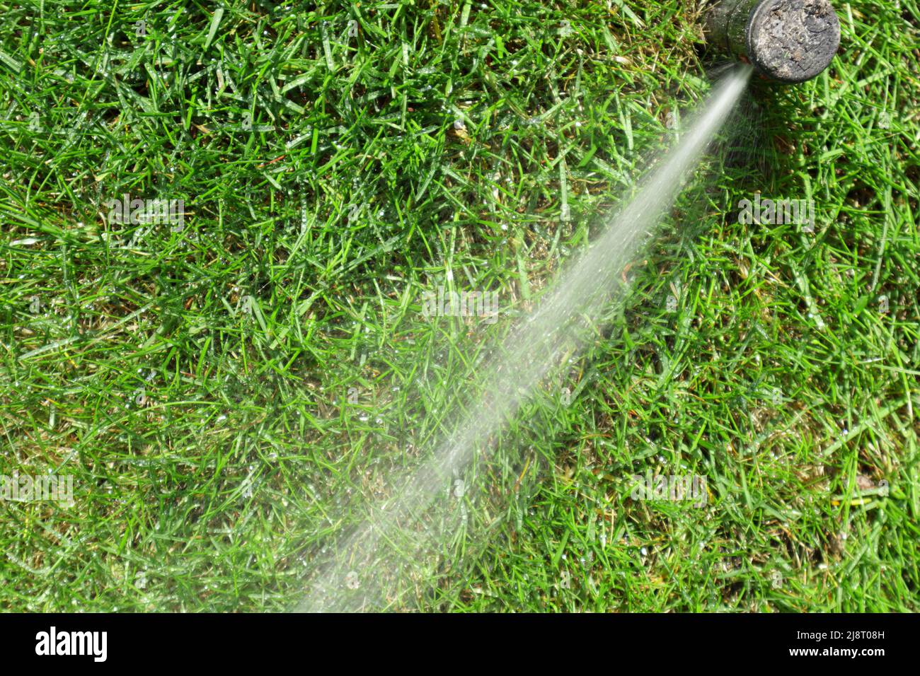 Garden irrigation system lawn. Automatic lawn sprinkler watering green ...