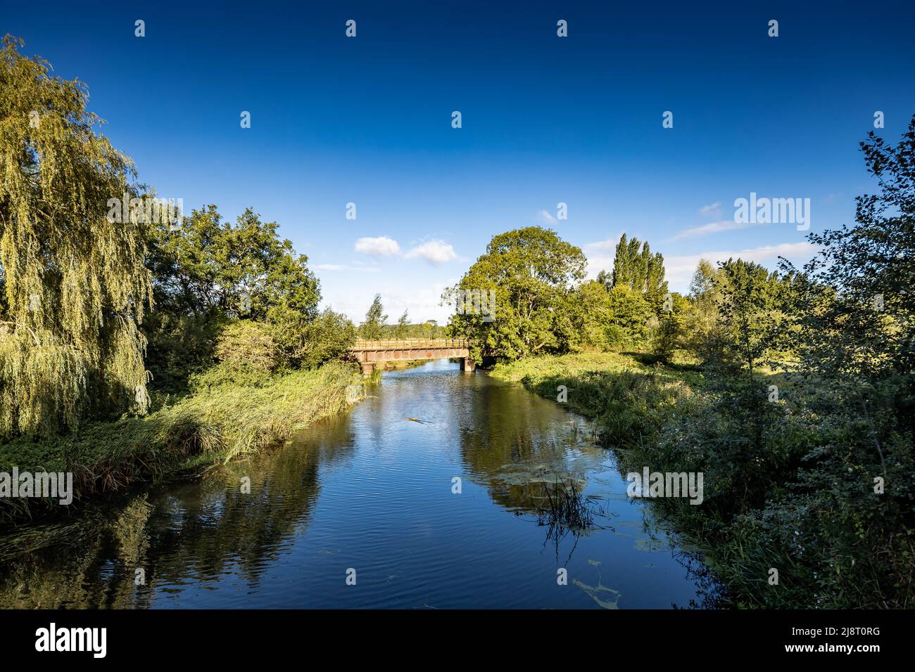 Sudbury, Suffolk, Local Area Shoot Stock Photo - Alamy