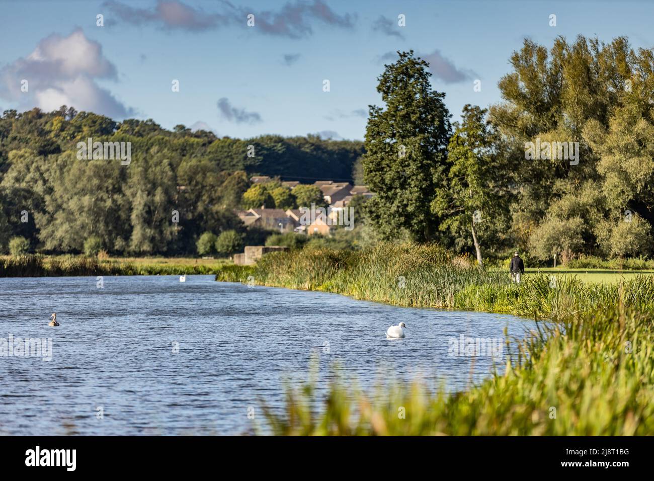 Sudbury suffolk meadow hi-res stock photography and images - Alamy