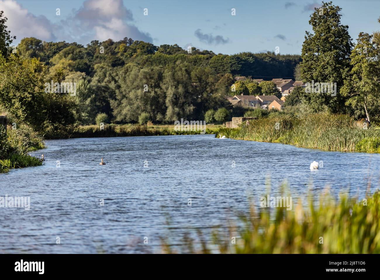 Sudbury suffolk meadow hi-res stock photography and images - Alamy