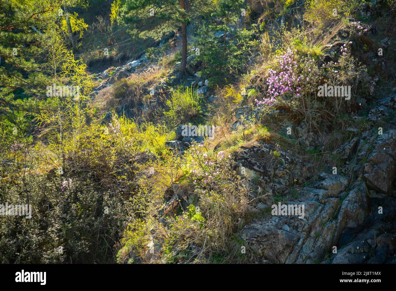 Kamysh Waterfall High Resolution Stock Photography and Images - Alamy