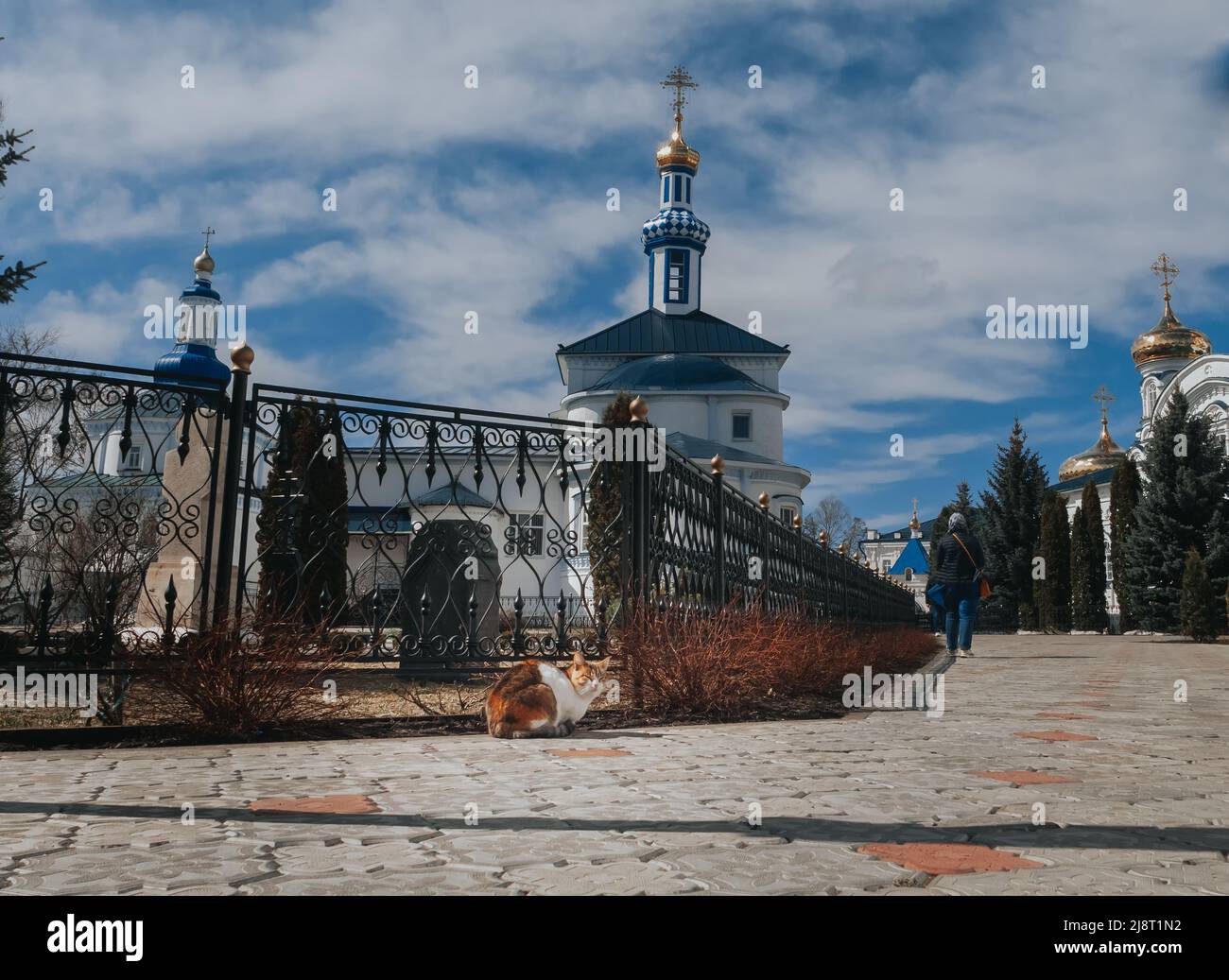 Raifa Bogoroditsky Monastery. Kazan, Tatarstan. A cat basking in the ...