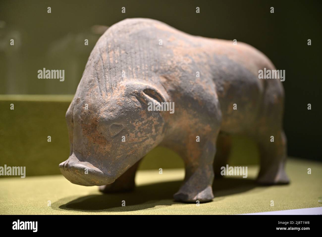 Haikou, China's Hainan Province. 18th May, 2022. A pig-shaped pottery ...