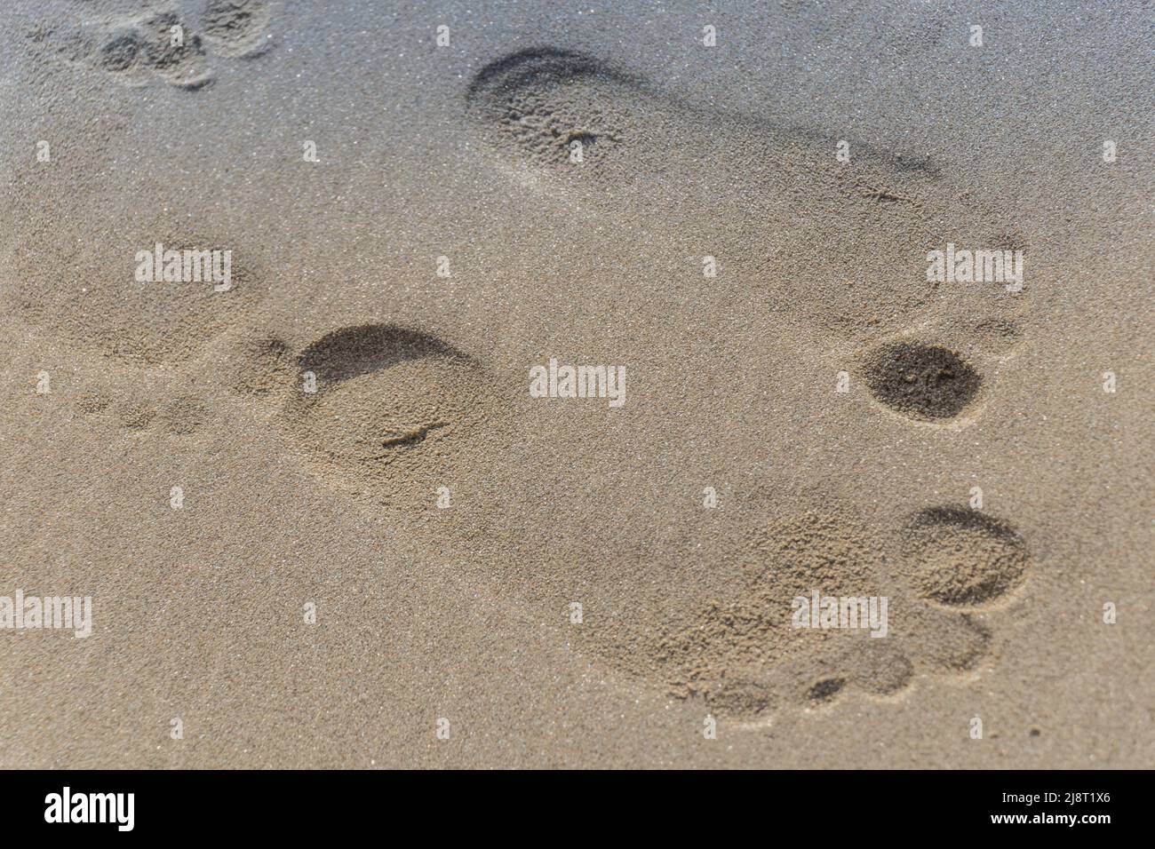 Footprints in the sand Stock Photo - Alamy