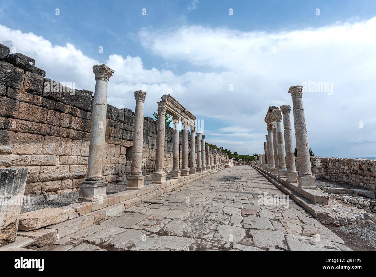 Pisidia hi-res stock photography and images - Alamy