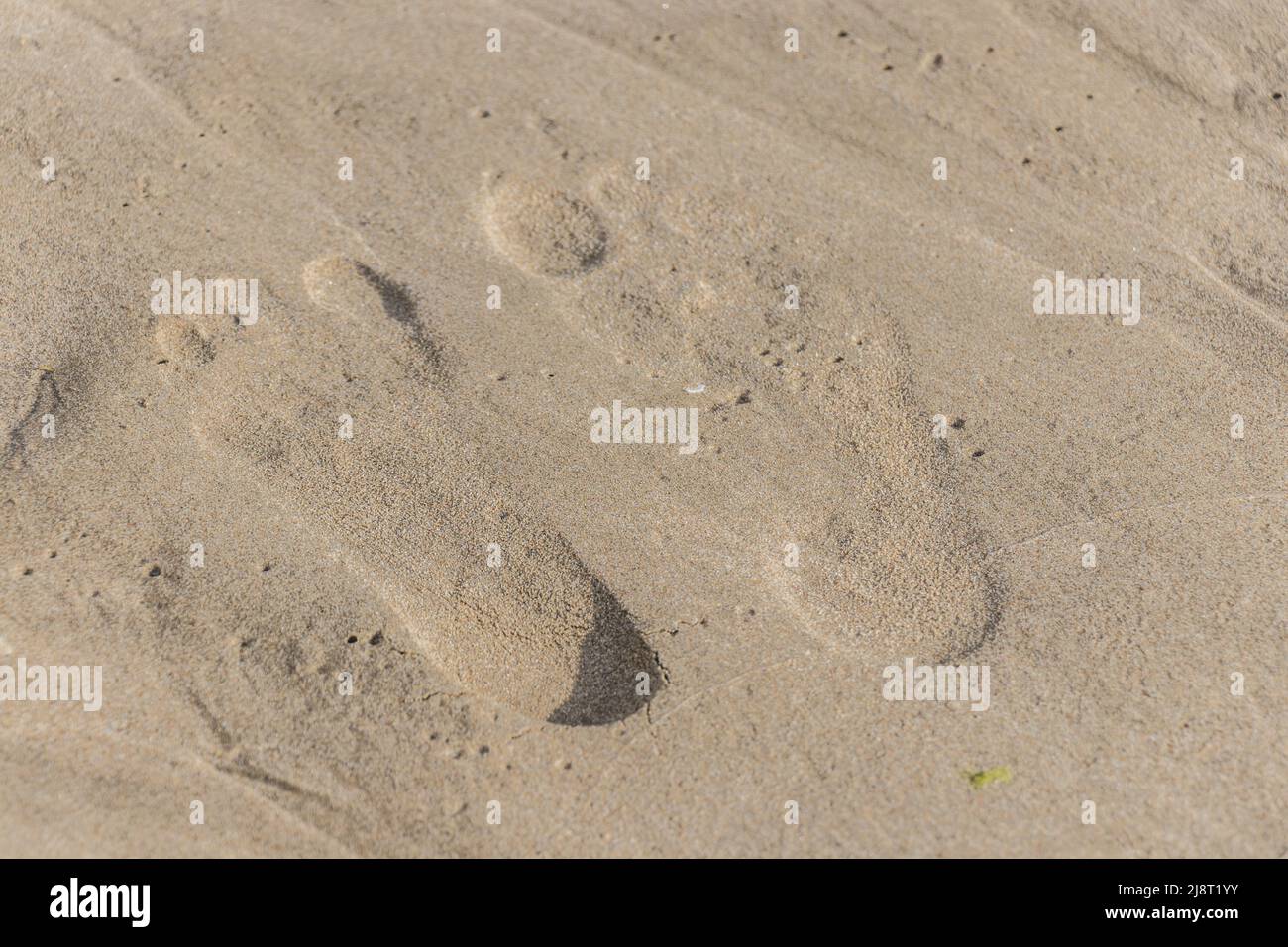 Footprint marks hi-res stock photography and images - Alamy