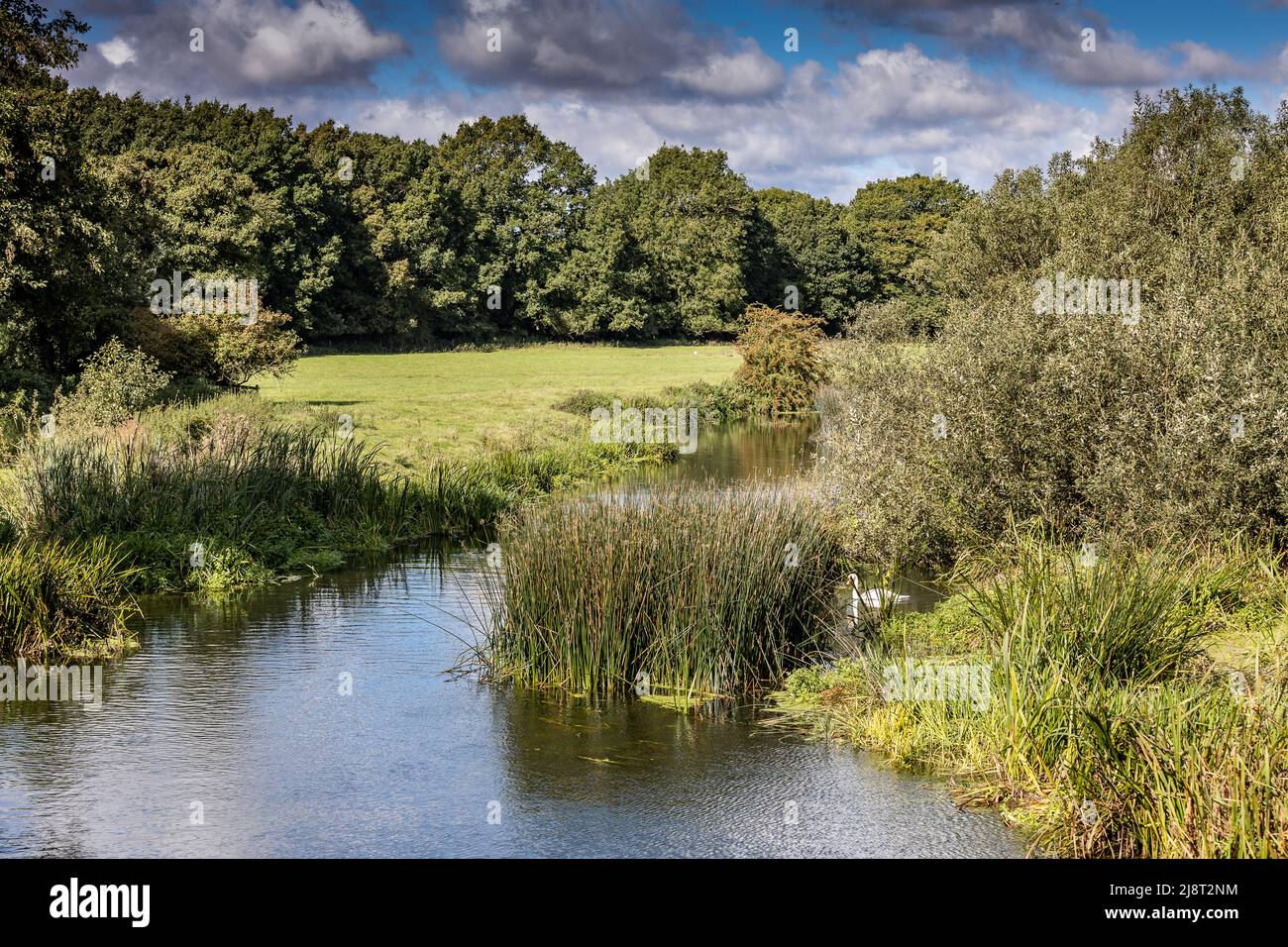 Sudbury, Suffolk, Local Area Shoot Stock Photo - Alamy