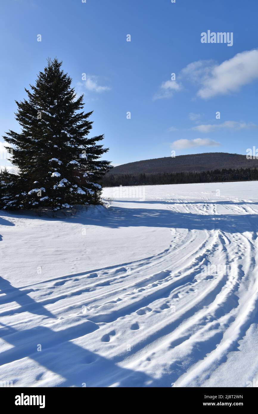 A snowmobile trail in a field, Québec, Canada Stock Photo - Alamy