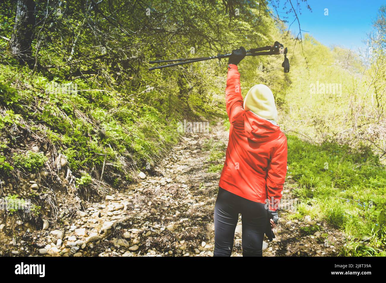 Back view determined hiker solo woman lift up nordic stick out of joy ...