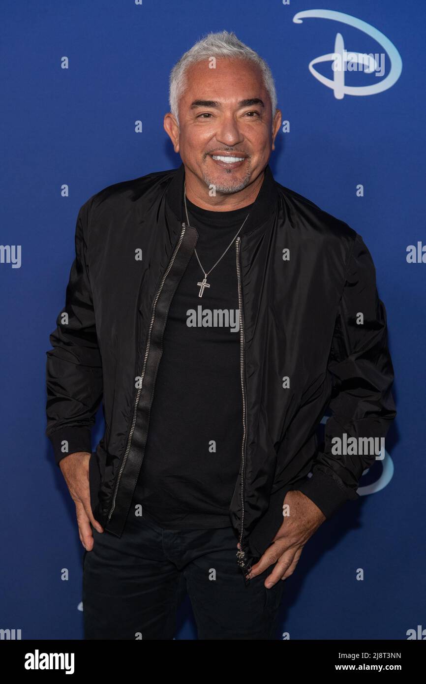 Cesar millan hi-res stock photography and images - Alamy