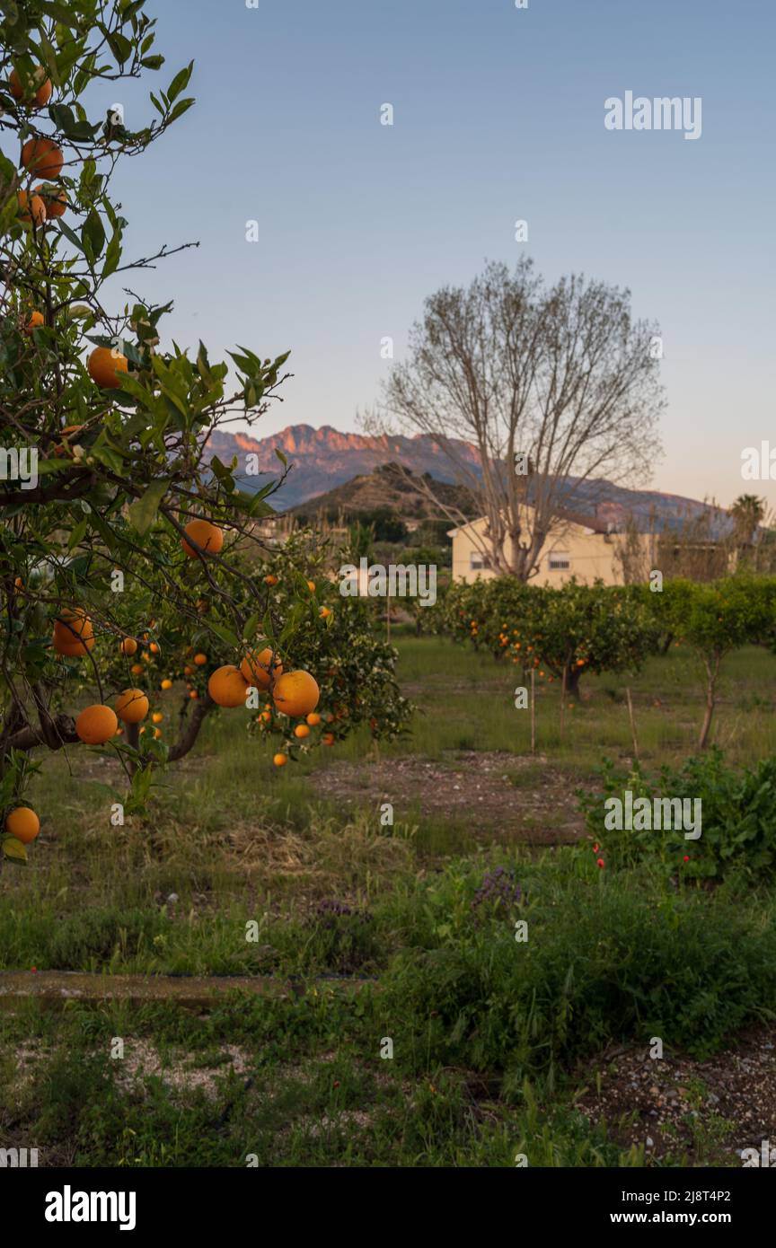 Alicante altea sunset hi-res stock photography and images - Alamy