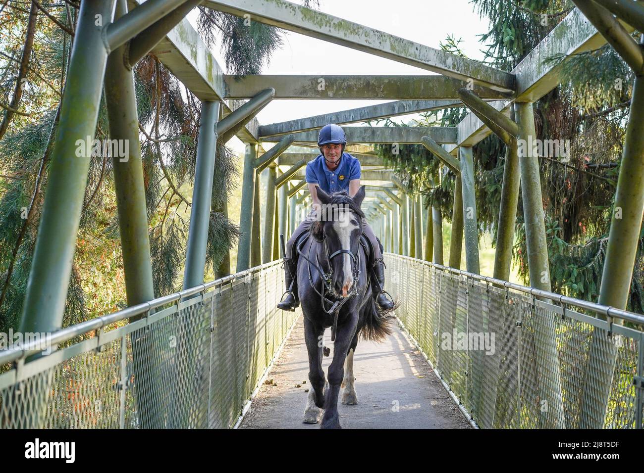 Front view of man riding horse across a river footbridge, UK Stock ...