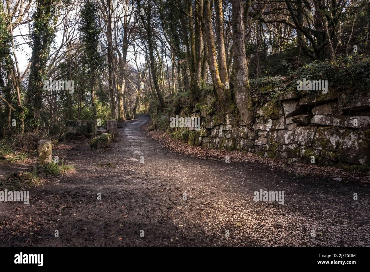 A rough footpath in the historic Kennall Vale nature reserve in ...