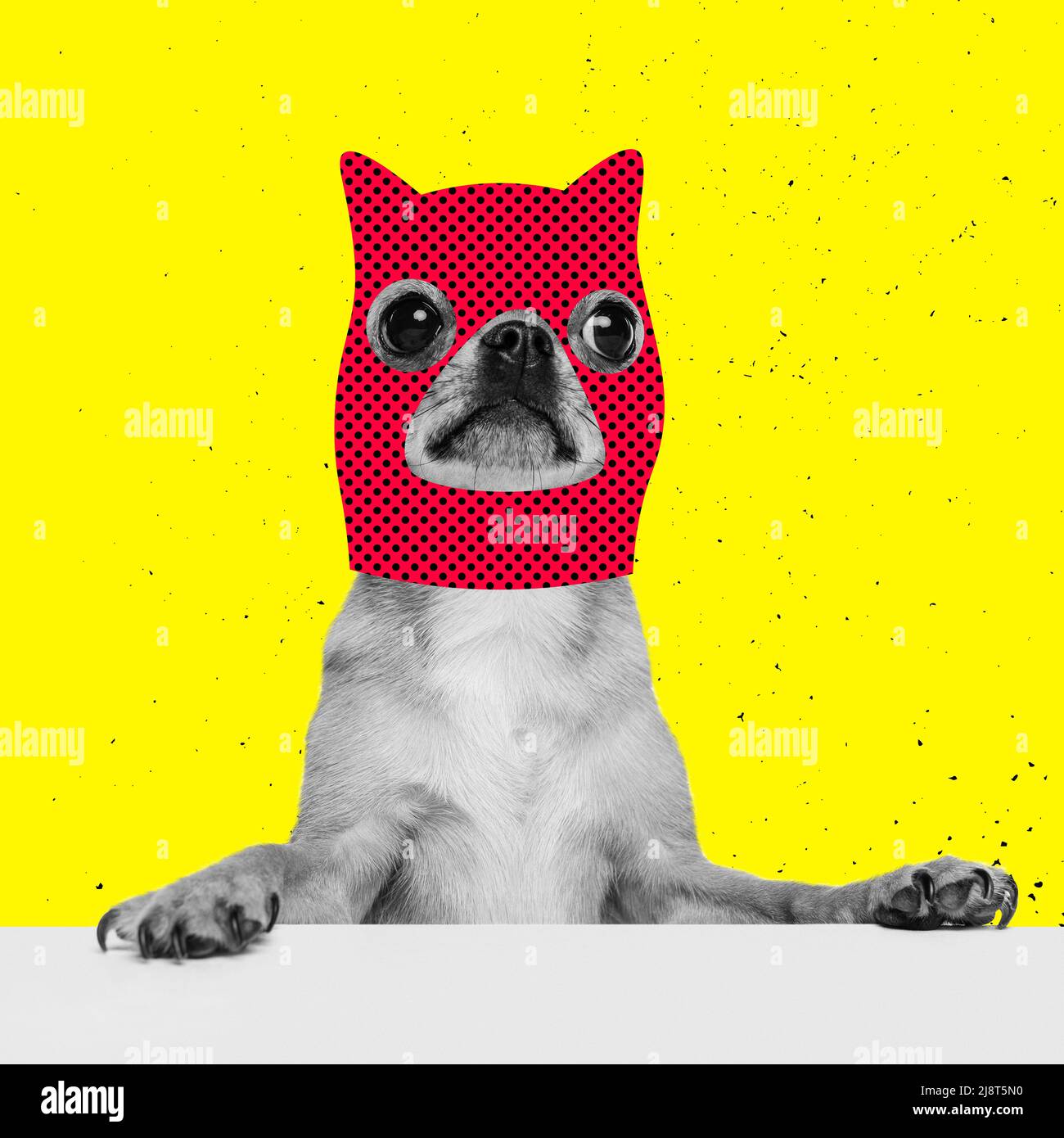 Funny gangster. Contemporary art collage with cute dog wearing drawn ...