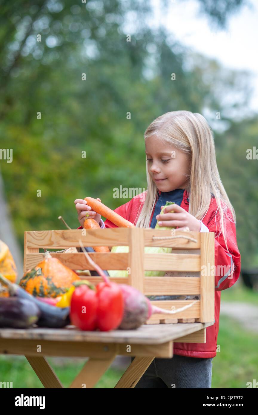Long-haired blonde girl looking busy while sorting veggies Stock Photo ... Long-haired blonde girl looking busy while sorting veggies Stock Photo ...