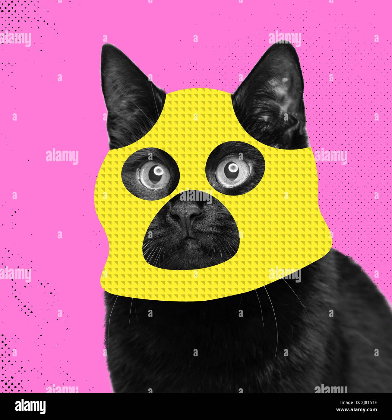 Creative portrait of cute cat wearing drawn balaclava isolated on ...