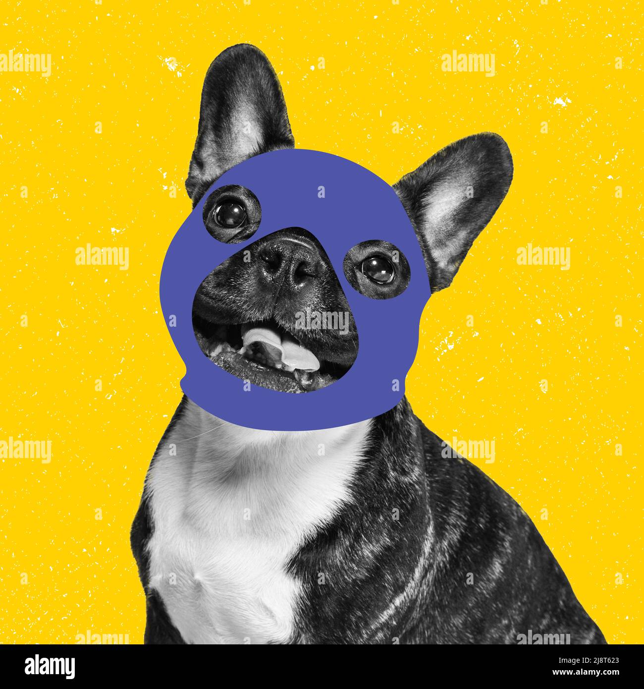French bulldog. Contemporary art collage with cute dog wearing drawn ...