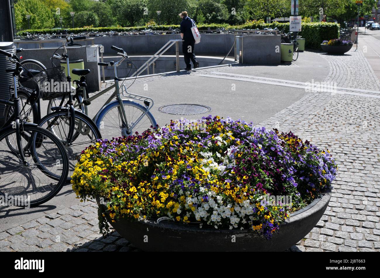 Copenhagen/Denmark/18 May 2022/.Huge flower pot display for street ...