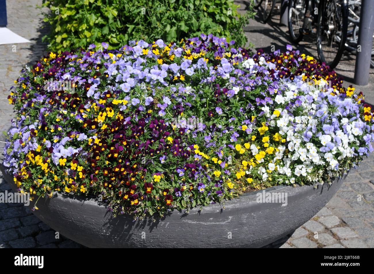 Copenhagen/Denmark/18 May 2022/.Huge flower pot display for street ...