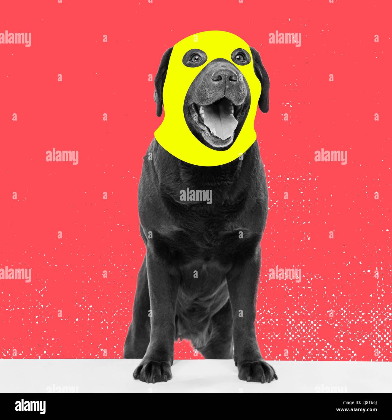 Creative design. Contemporary art collage with cute dog wearing drawn ...