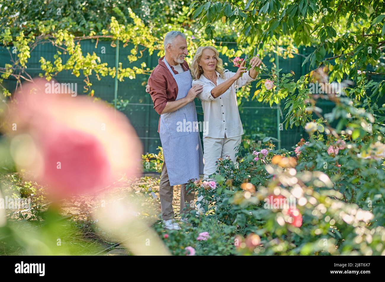 Man hugging woman touching flower on bush Stock Photo - Alamy