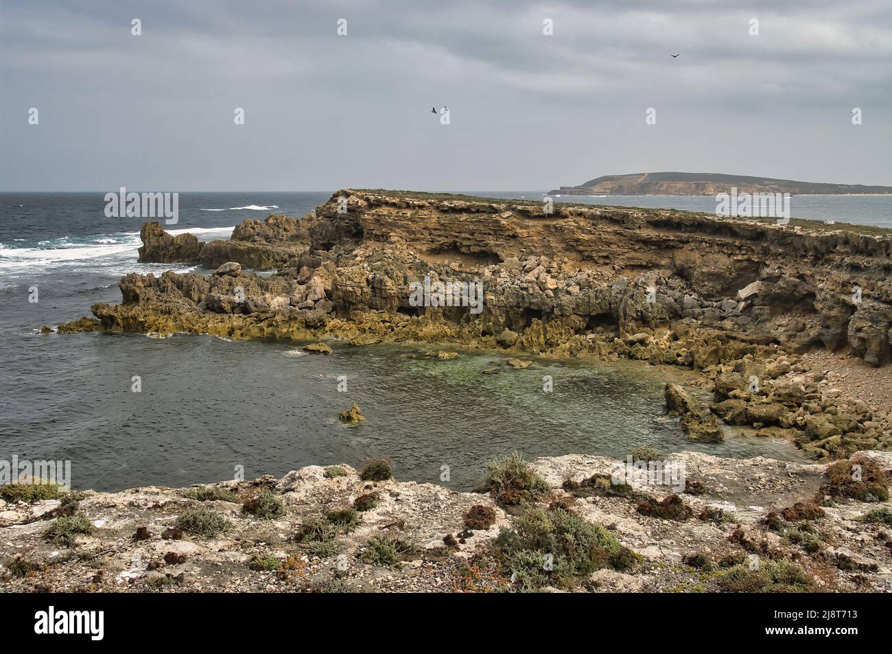 Wild, rocky coast with cliffs and caves near Elliston, Eyre Peninsula ...