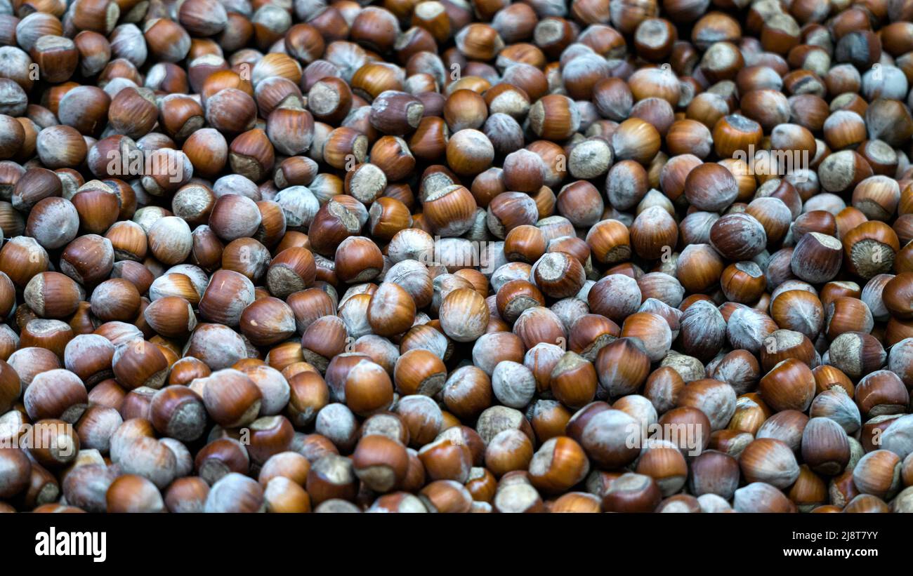 Huge box with hazelnuts in the store.Food background Stock Photo - Alamy