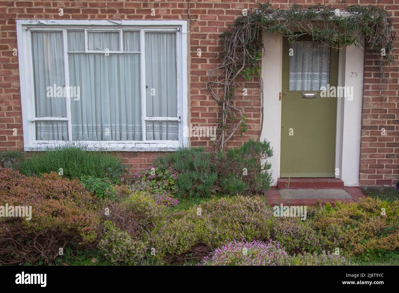 House, 1940s style, with critall style windows, front garden with lawn ...