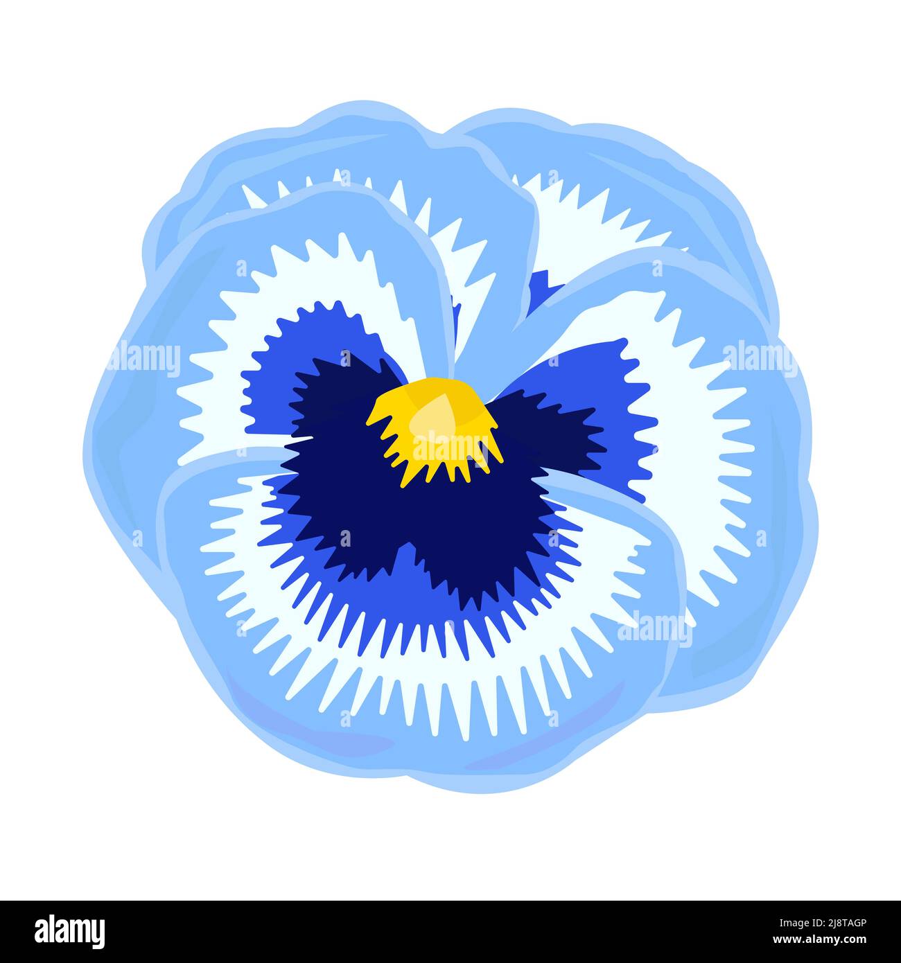 Single blue pansy close-up, colorful illustration Stock Vector Image ...