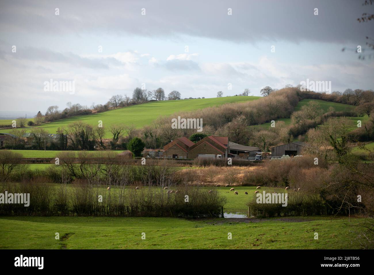 Howardian hills hi-res stock photography and images - Alamy
