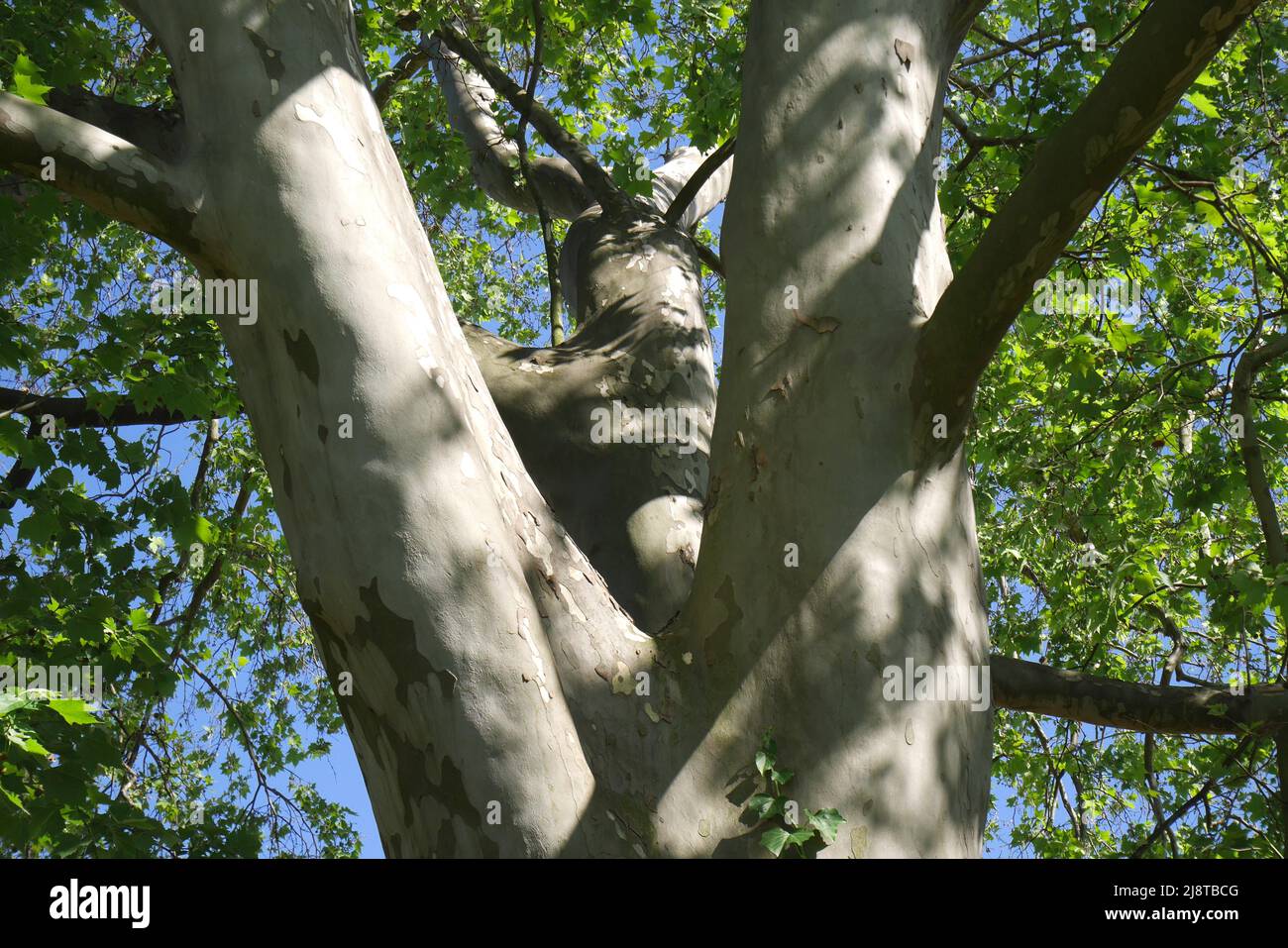 Late spring hi-res stock photography and images - Alamy
