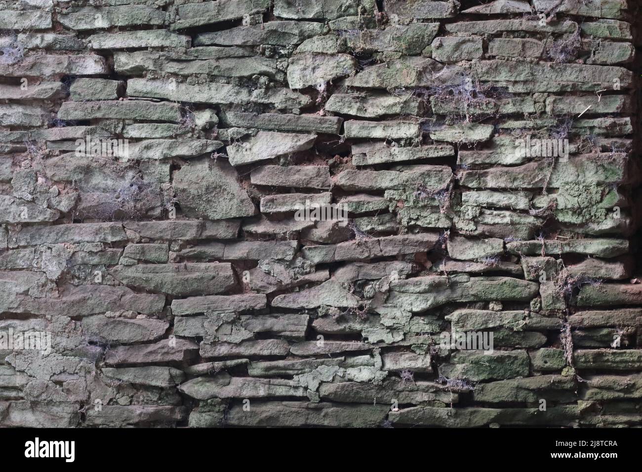 Hereford wall hi-res stock photography and images - Alamy