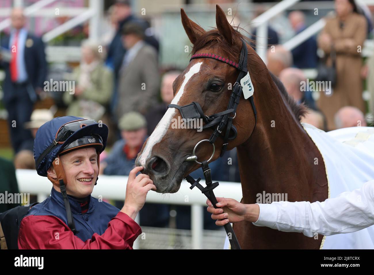 TOM MARQUAND, LILAC ROAD, DANTE FESTRIVAL 2022, 2022 Stock Photo - Alamy