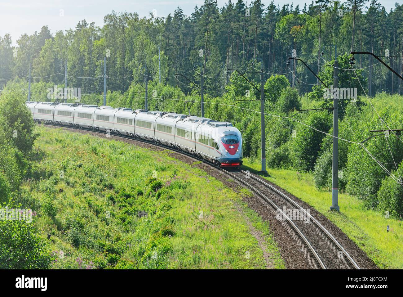 Passenger train moves in the summer forest Stock Photo - Alamy