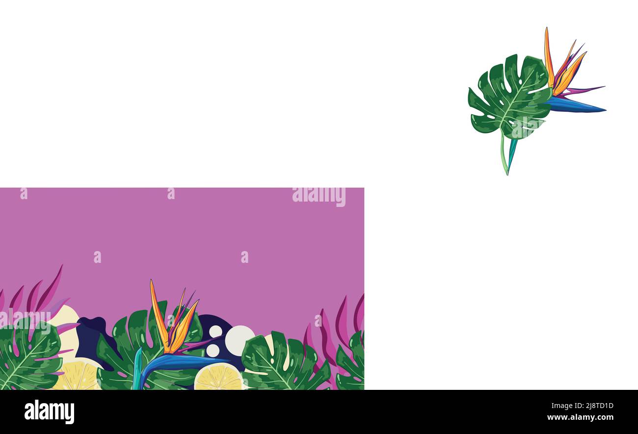 Big Green Monstera Leave and Bird of Paradise Flower Strelitzia Stock ...