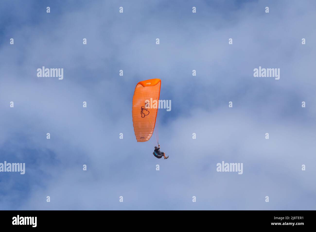 Albufeira; Portugal - October 29: A paraglider pilot flies near the ...