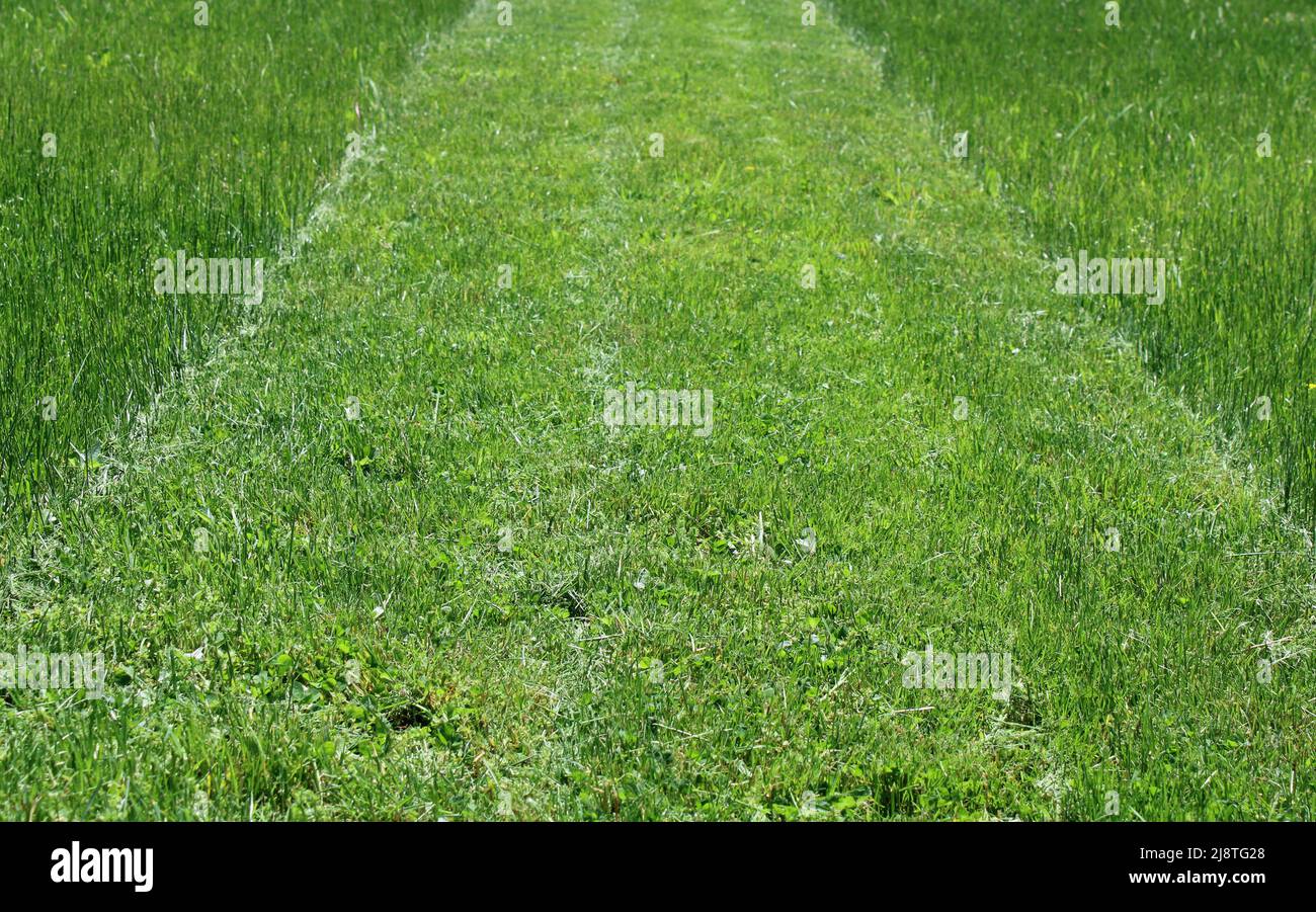 Mowed pathway hi-res stock photography and images - Alamy