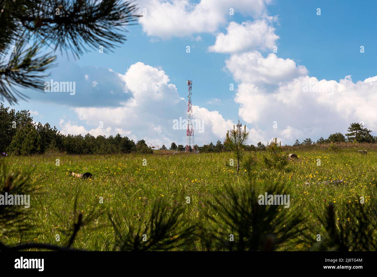 Telecommunication tower 5G, Wireless antenna connection system of ...